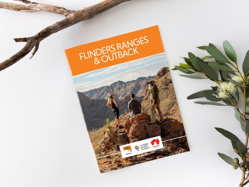 Our Work | WOOF Media