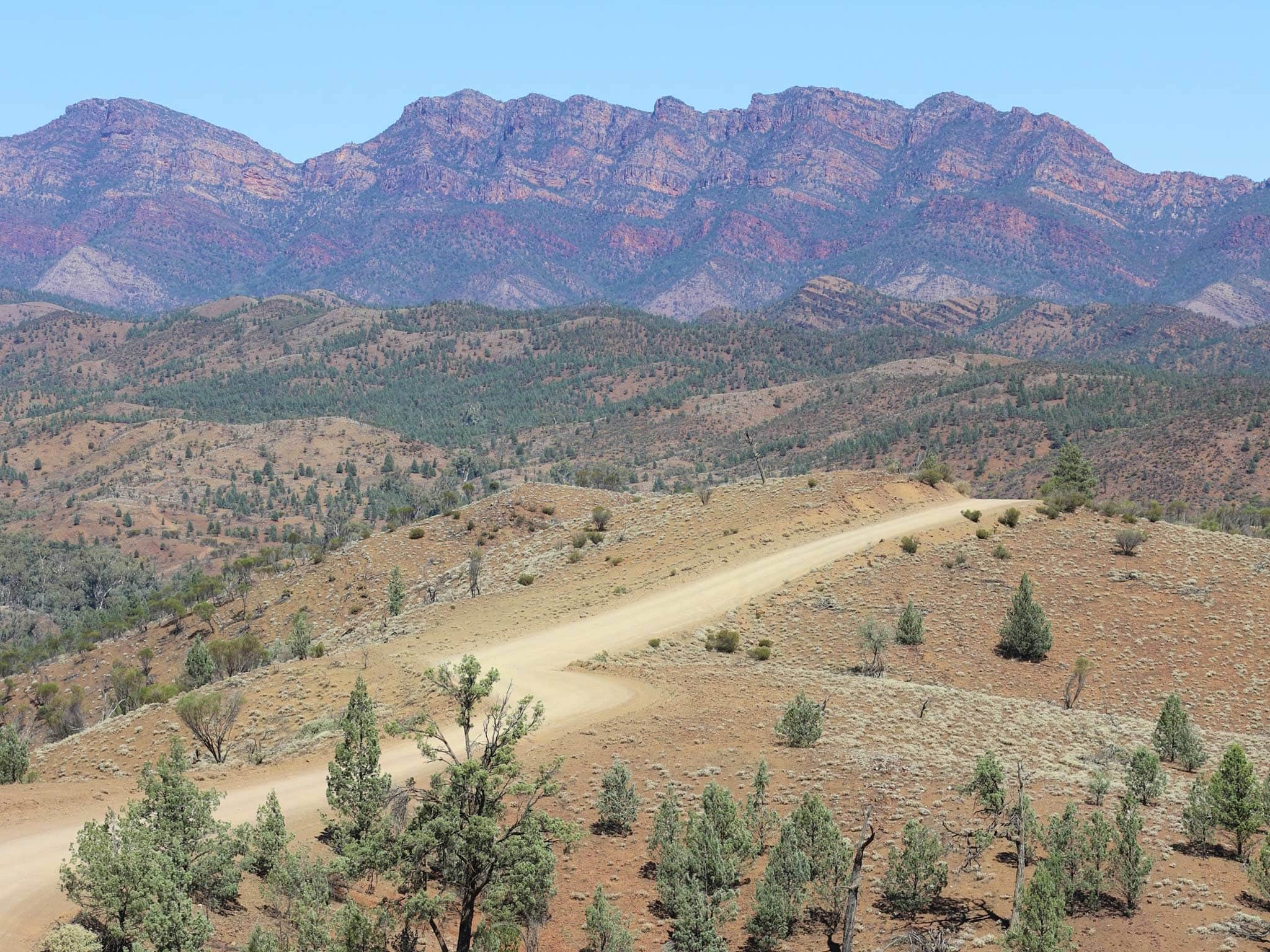 Out and About: Flinders Ranges and Outback | WOOF Media