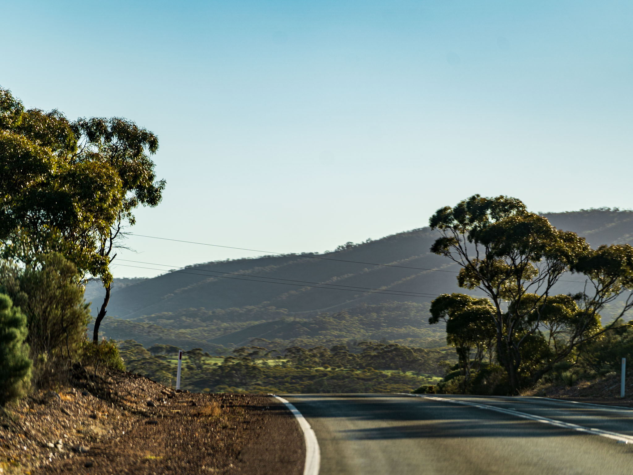 RDA Far North - Case Study | WOOF Media